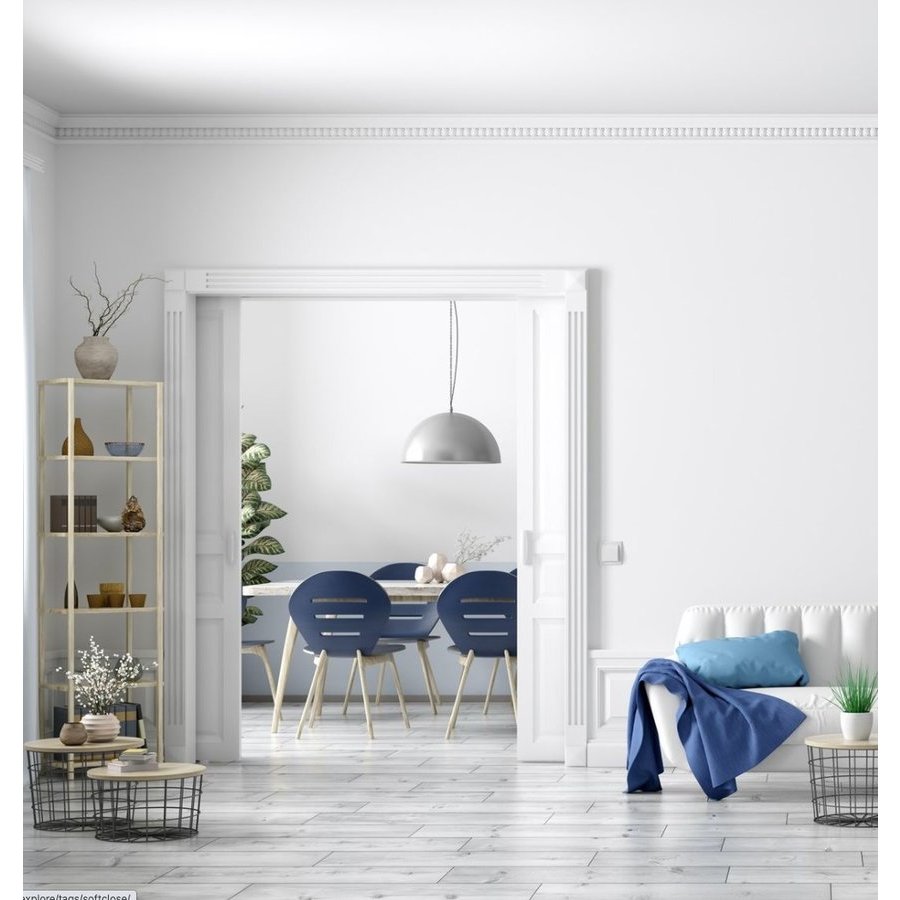 Sugatsune FD80DHCMP-PD, Sliding Pocket Door System with Soft-Close for ...