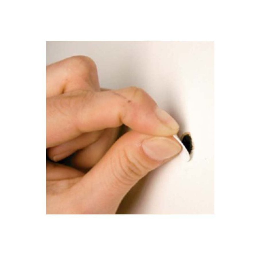 9/16 Inch Diameter Fastcaps, 1040 Fastcaps Per Box, Clear Maple ...