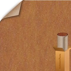 Nevamar WM8350T-T-H5-48X096, Carmel Sagawood Textured Finish 4 ft. x 8 ...