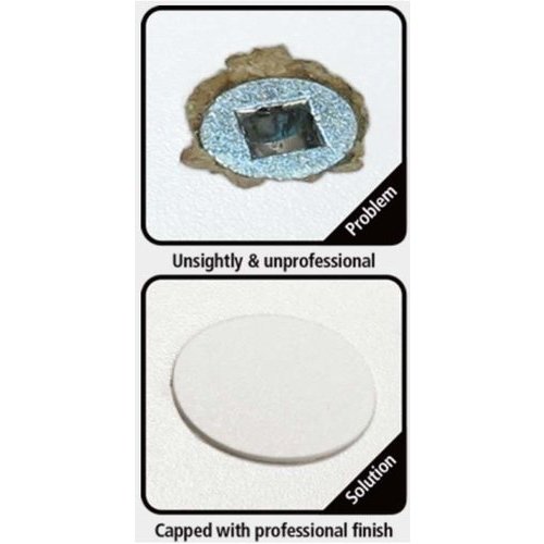 9/16 Inch Diameter Fastcaps, 260 Fastcaps Per Box, Maple | CabinetParts.com