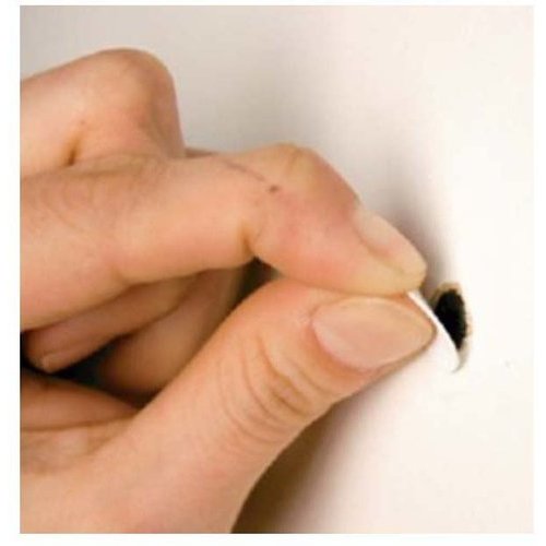 9/16 Inch Diameter Fastcaps, 1040 Fastcaps Per Box, Clear Maple ...